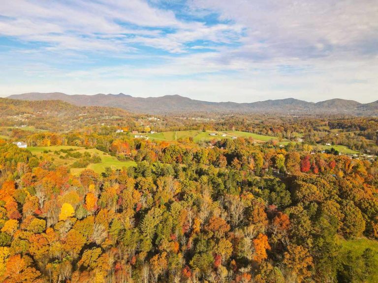 Asheville in the Fall: The Ultimate Guide